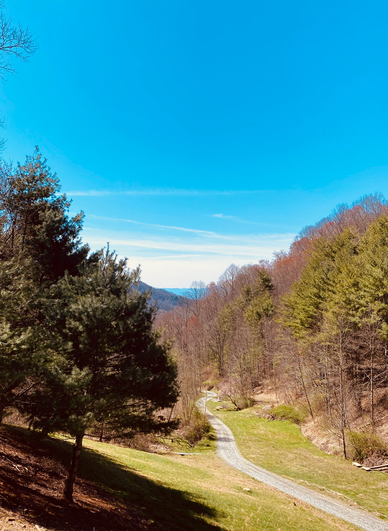 What is a Holler? - The Residency at Metcalf Creek